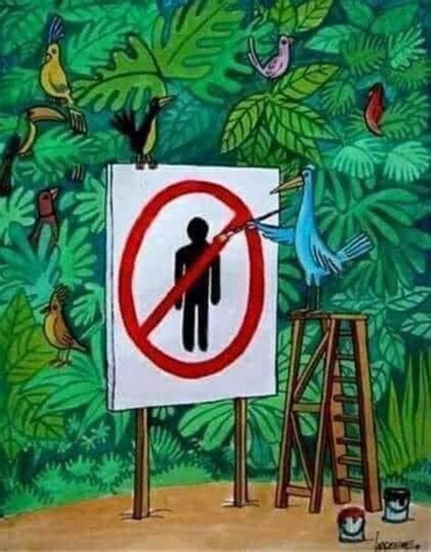 Dr Zohreh Majd On Linkedin It Really Should Be Like That…