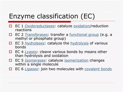 Enzyme Classification Ecppt
