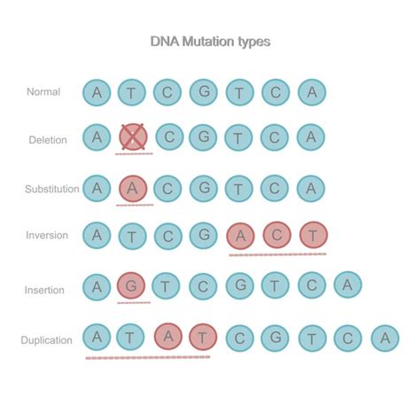 Deletion Mutation Images Stock Photos D Objects Vectors Shutterstock