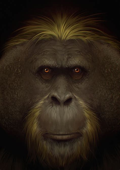 Gigantopithecus Blacki How The Gigantopithecus The Largest Ape That Ever Walked On Earth