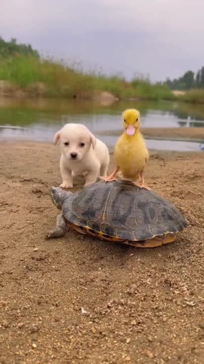 Harsh Mehta On Linkedin Networking Relationship Professionaldevelopment Mentorshipmatters