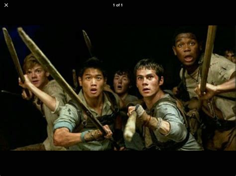 The Maze Runner Preferences And Imagines A N Wattpad