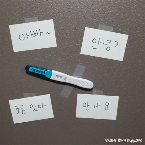 임신기록 임신확인 임신테스트기 네이버 블로그