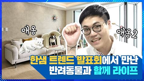 미리보는 가을겨울 라이프스타일 인테리어 시작해요 함께라이프💕 Youtube