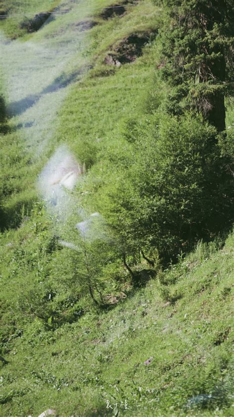 世界变个不停也没有摧毁我们的梦 袁千禧 富士胶片影赛 Fujifilm