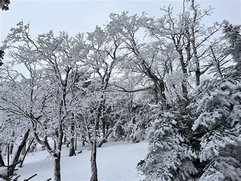 頂仙岳・弥山・八経ヶ岳（八剣山・仏経ヶ岳）・明星ヶ岳・細尾山・日裏山 Teruさんの八経ヶ岳の活動データ Yamap ヤマップ