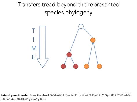 Presentation Describing Ale A Suite Of Programs For Gene Tree