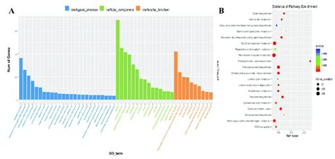 expression levels of each sample the boxplot showed the gene