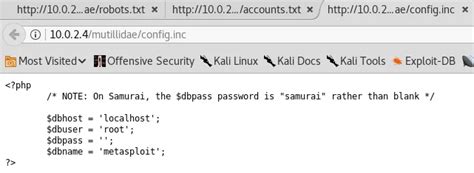 Analysing Discovering Files Ethical Hacking