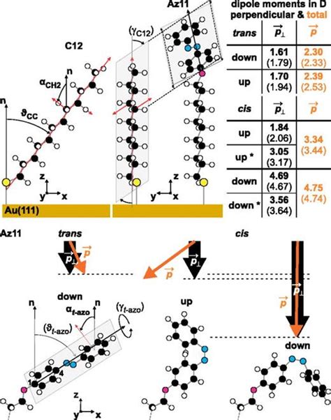 Fast Optical Work Function Tuning At An Organicmetal Interface