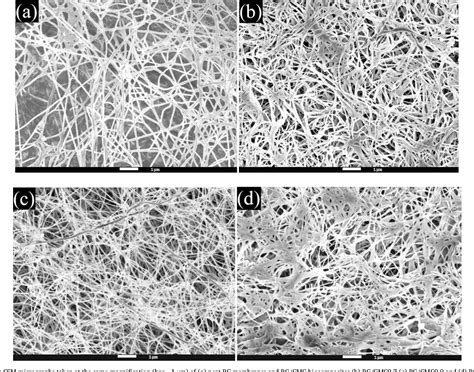 Figure 4 From Carbohydrate Polymers Semantic Scholar