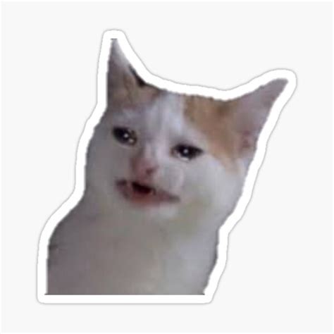Cat Meme Stickers Funny Cat Stickers Sticker For Sale By
