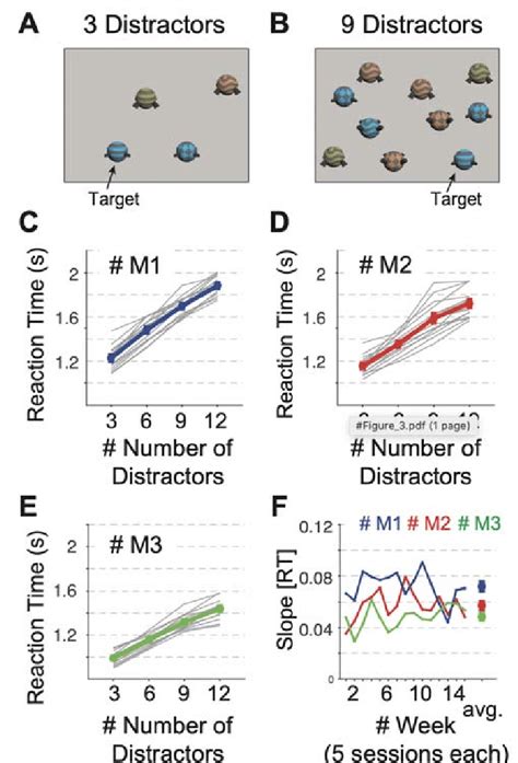 Visual Search Performance A B Visual Display With A Target Object Download Scientific