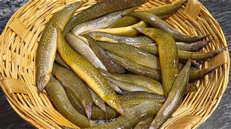 छोटी बांबी मछली बनाएं मेरे इस खास तरीके से Choti Machali Bambi