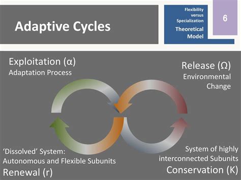 Flexibility Versus Specialization Ppt Download