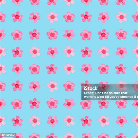 왁스 꽃 의 핑크 꽃잎 매끄러운 패턴 일러스트 수채화 식물 그림 파스텔 블루 배경에 패션 직물 섬유 인쇄 및 벽지 포장 0명에 대한 스톡 벡터 아트 및 기타 이미지 Istock