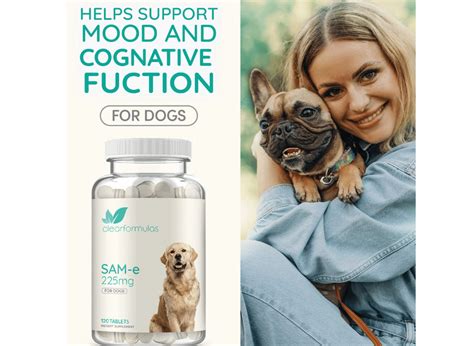 Sam E For Dogs The Benefits Of Natural Wellness