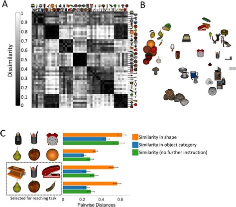 Object Arrangements And Representation Dissimilarity Matrix RDM For Download Scientific