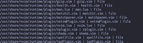 Bug Default Neovim Plugins Such As Matchparen And Matchit Are Not