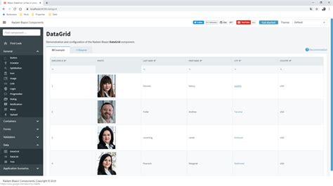 Problem With Formating Data Grid Column Blazor Server Radzen