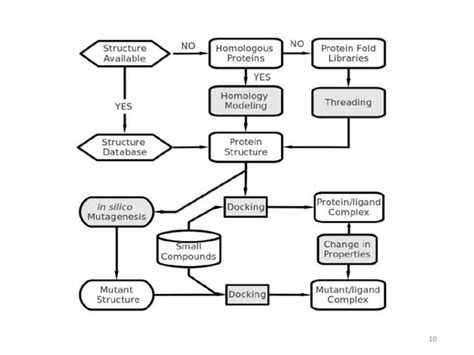 Computational Modeling Of Drug Disposition Pptx Digestive Disorders