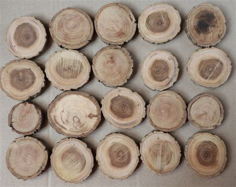20 Slices Of Cherry Tree With Tree Rings Unique Selection With Bark