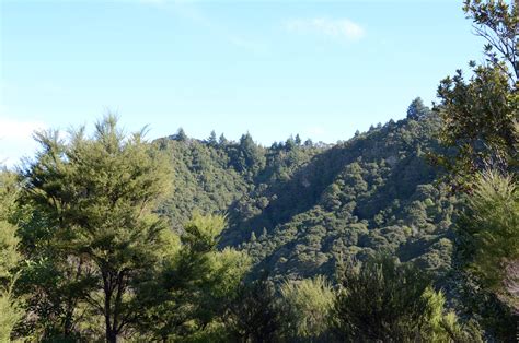 Ngutu Kaka O2 Landscapes