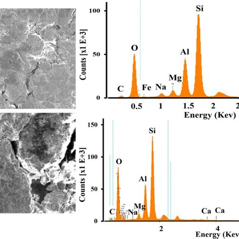 The Sem Micrographs And Corresponding Edx Spectrograms Of Pristine Mt