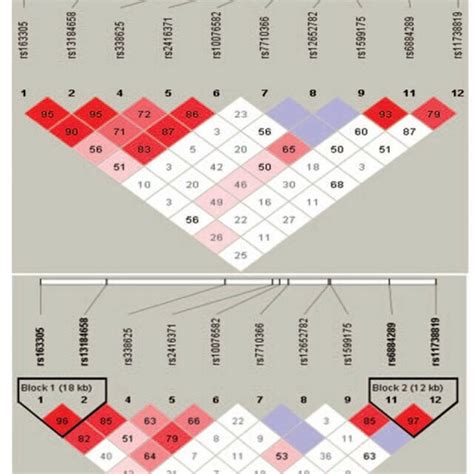 Graphical Representation Of Single Nucleotide Polymorphisms In Relation Download Scientific