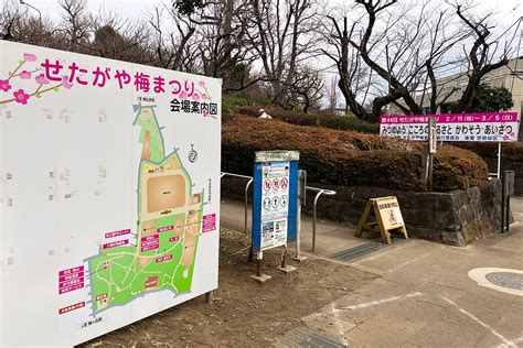 3年ぶり開催！『第44回 せたがや梅まつり』羽根木公園にて211 35開催 下北沢情報サイト【しもブロ】