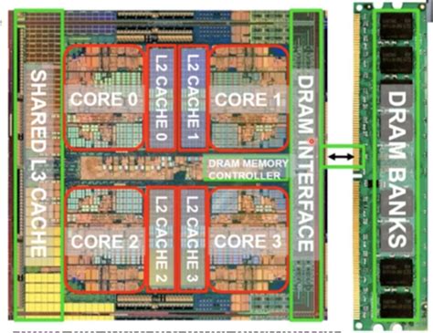 Mod 1 Lecture Flashcards Quizlet