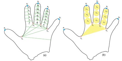 How Do Fingerprint Finger Geometry And Vein Recognition Biometrics Work