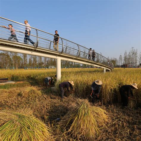 Best Architecture Of 2017 Revealed At Day One Of Waf