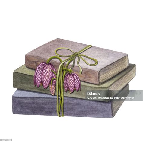 봄 꽃 뱀의 머리 Fritillary로 묶인 오래된 빈티지 책을 쌓으십시오 손으로 그린 수채화 그림은 흰색 배경에 분리되어 있다 카드 포스터 라벨 스크랩북 로고 꽃 식물에