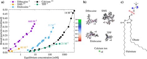A Number Of Bound Molecules Per Popc Lipid As A Function Of Download Scientific Diagram