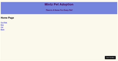 Boolean Uk React Router Pets Codesandbox