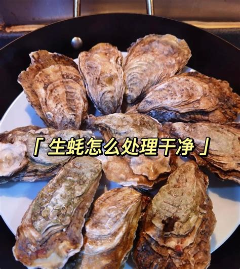 生蚝怎么处理干净？清楚生蚝2个步骤，干净又不伤手生蚝蚝肉外壳新浪新闻