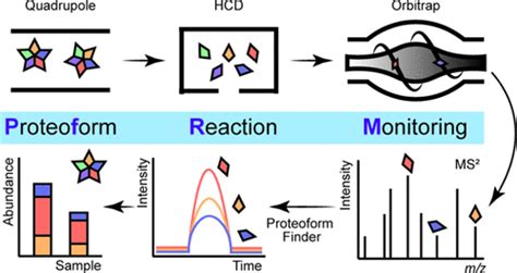 Targeted Quantification Of Proteoforms In Complex Samples By Proteoform Reaction Monitoring