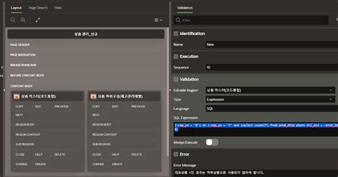 Oracle Apex Korea 20230212 Validation 검증