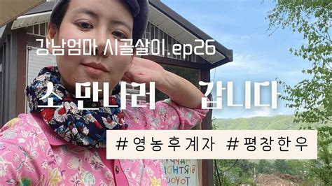강남엄마 시골살이평창한우 소는 누가키우나 Youtube