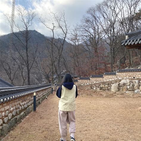 양평여행 용문사 템플스테이 휴식형 Day1 네이버 블로그