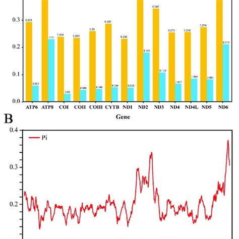 A Ratio Of Non Synonymous Ka To Synonymous Ks Substitution Rates