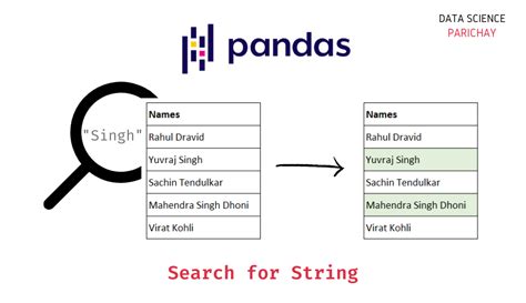 Pandas Search For String In Dataframe Column Data Science Parichay