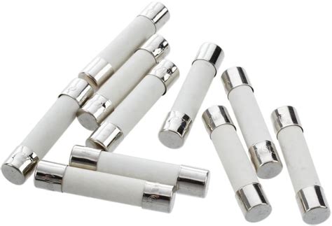 TOOGOO R Piezas AC V A X Mm Fusible En Tubos De Ceramica