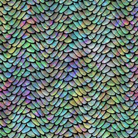 Rainbow Fish Scales Liquid Concepts
