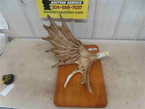 Art On Antler Eagle Carving Very Detailed Professionally Done