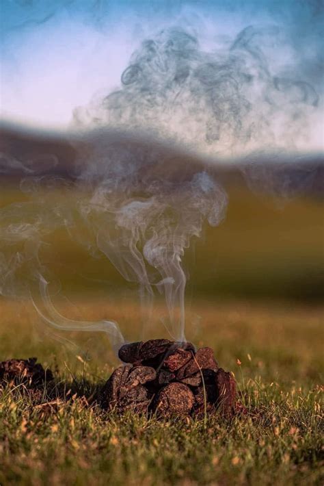 Ganzorig АРГАЛЫН УТАА түүний ид шид Монголчуудын аргалын утааны нууцыг Энэтхэгийн нэгэн эмч