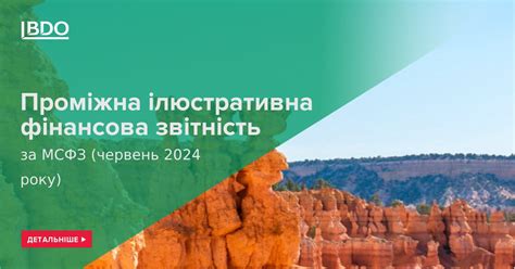 Проміжна ілюстративна фінансова звітність за МСФЗ червень 2024 року Bdo