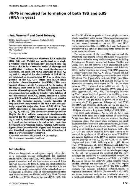 Pdf Rrp5 Is Required For Formation Of Both 18s And 5 8s Rrna In Yeast