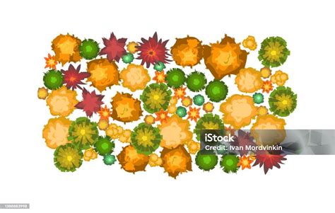 가벼운 가을 풍경 최고 보기 노란색과 주황색 나무와 높이에서 덤불이있는 장면 시골 위 흰색 배경에 격리 만화 스타일 일러스트레이션 벡터 0명에 대한 스톡 벡터 아트 및 기타